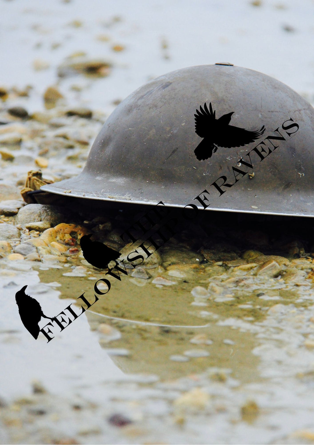 Reflection – The Fellowship of Ravens