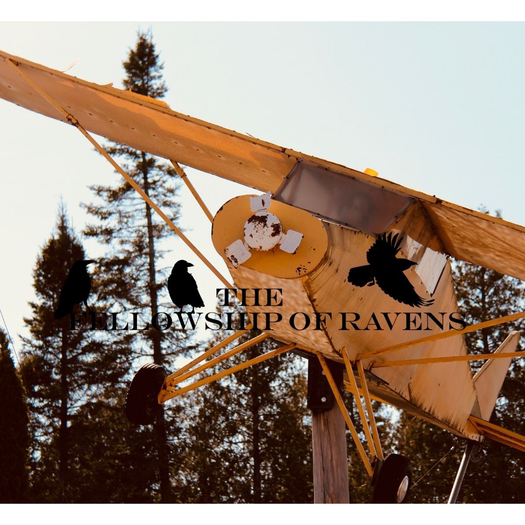 FEATURED PHOTOGRAPHY – The Fellowship of Ravens